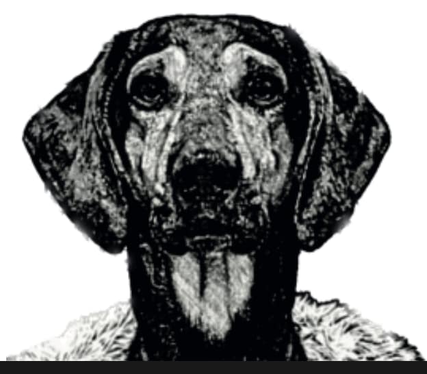 Chi Siamo Serpico Intelligence Srl chi-siamo-serpico-intelligence-srl
